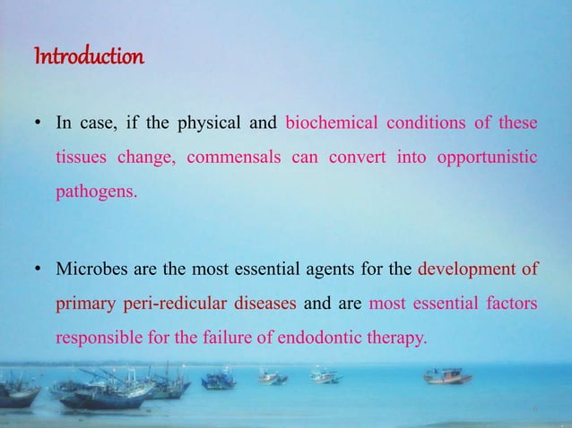 Endodontic Biofilms and management..pptx | Dental Health | Diseases and Conditions