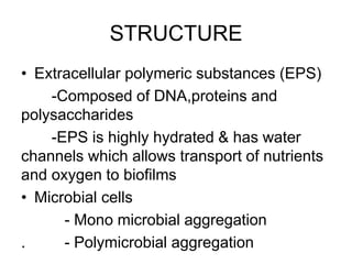 BIOFILMS 2.pptx
