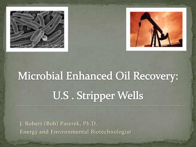 Biofilms of extremophils for microbial enhanced oil recovery3 | PPTX | Technology & Computing
