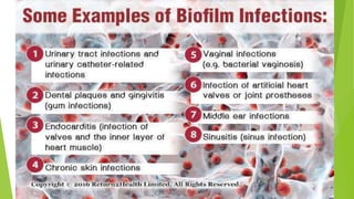 Biofilms- Dr. Richa Maurya | PPTX