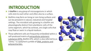 Biofilms- Dr. Richa Maurya | PPTX