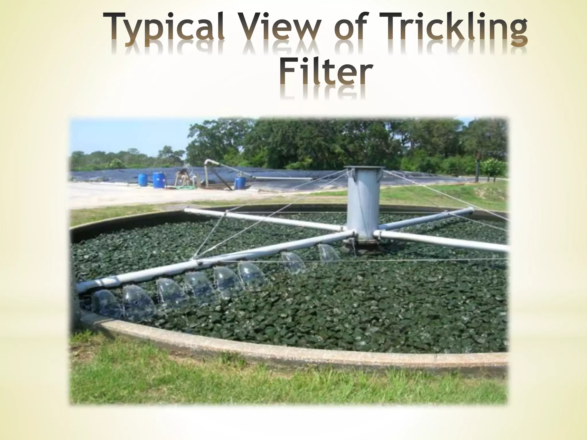 Biofiltration | PPTX