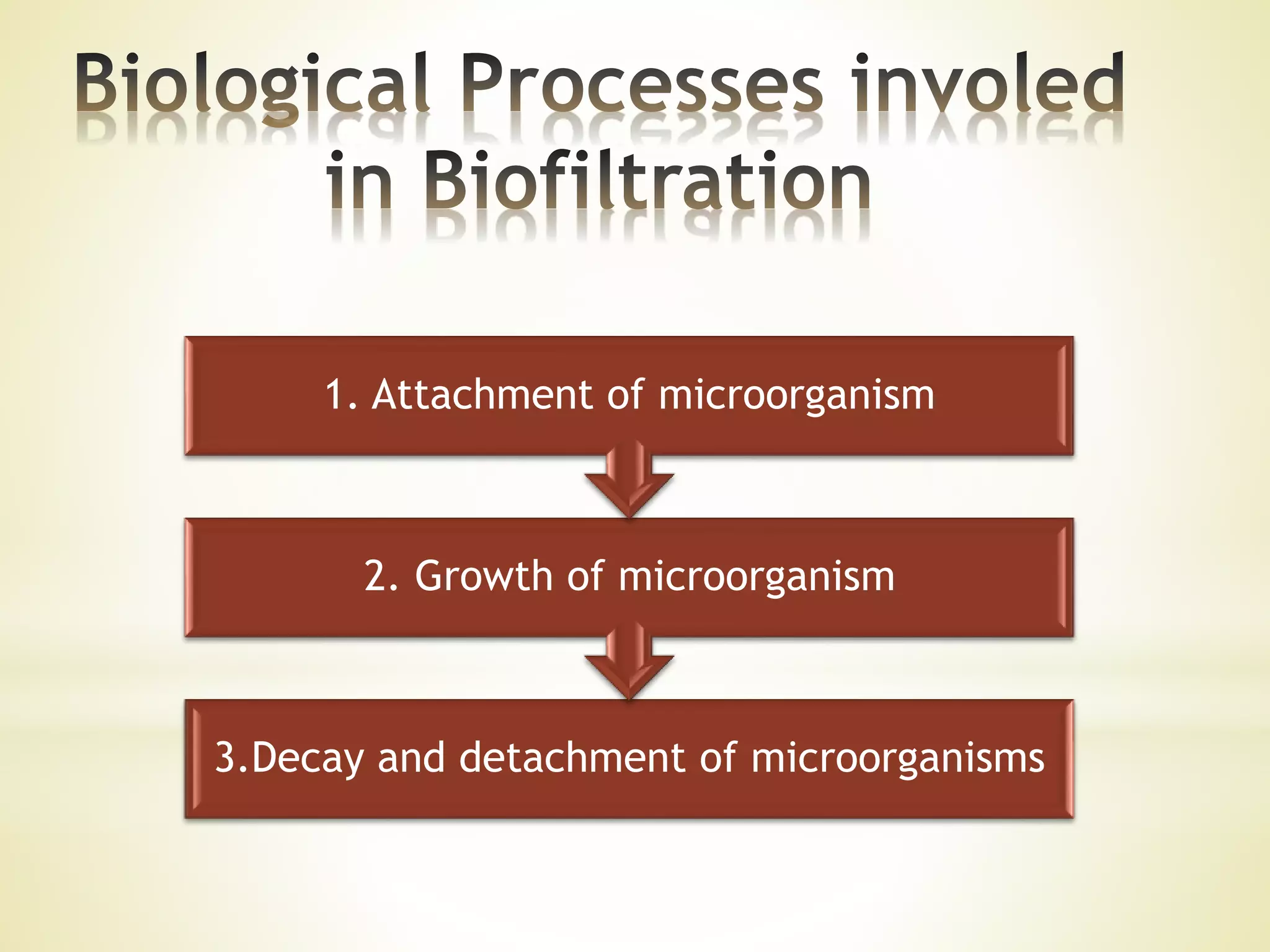 Biofiltration | PPTX