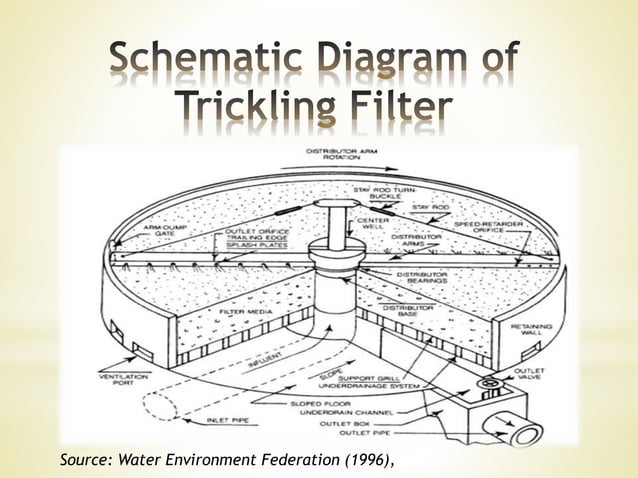 Biofiltration | PPTX | Indoor Environmental Quality | Home & Garden