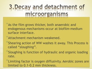 Biofiltration | PPTX