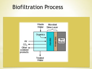 Biofiltration | PPTX