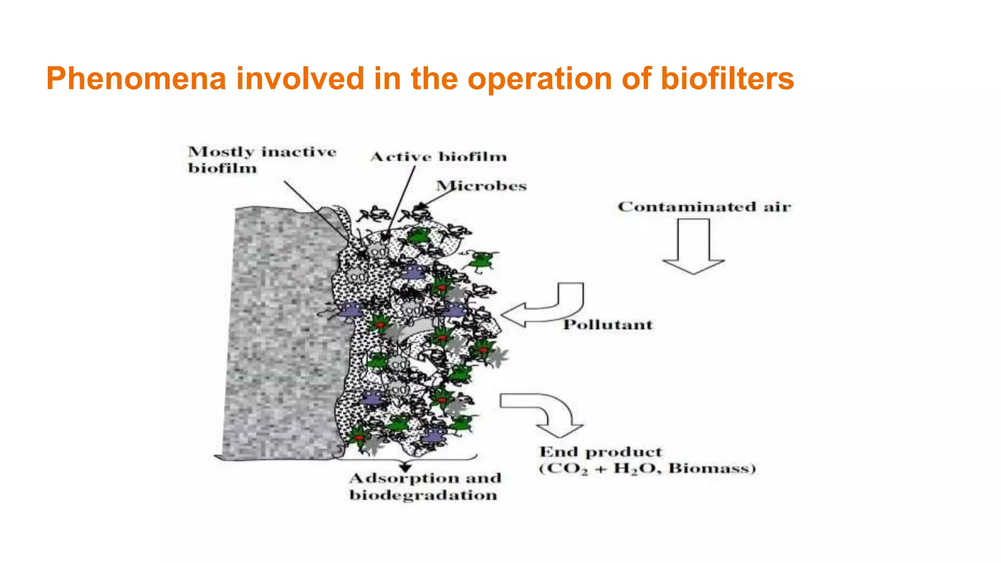 Biofiltration | PPTX