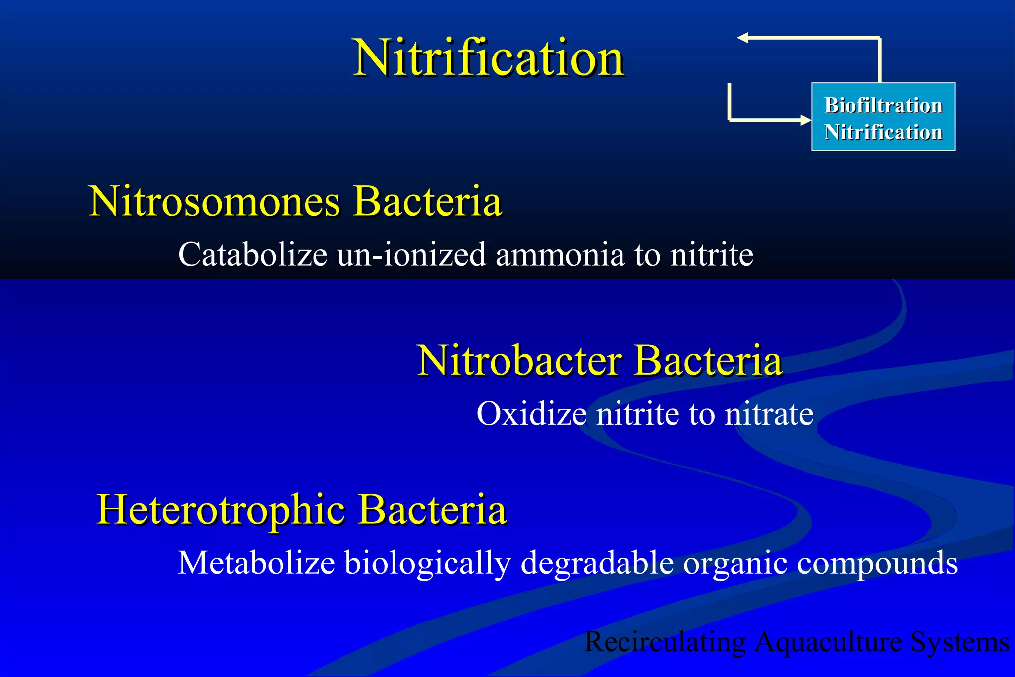 Biofiltration nitrification design overview | PPT