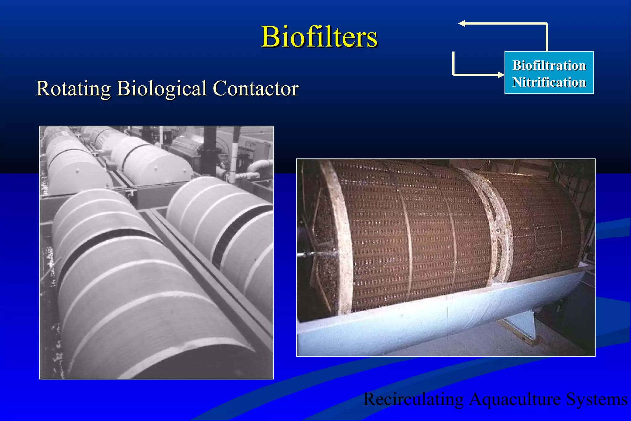 Biofiltration nitrification design overview | PPT