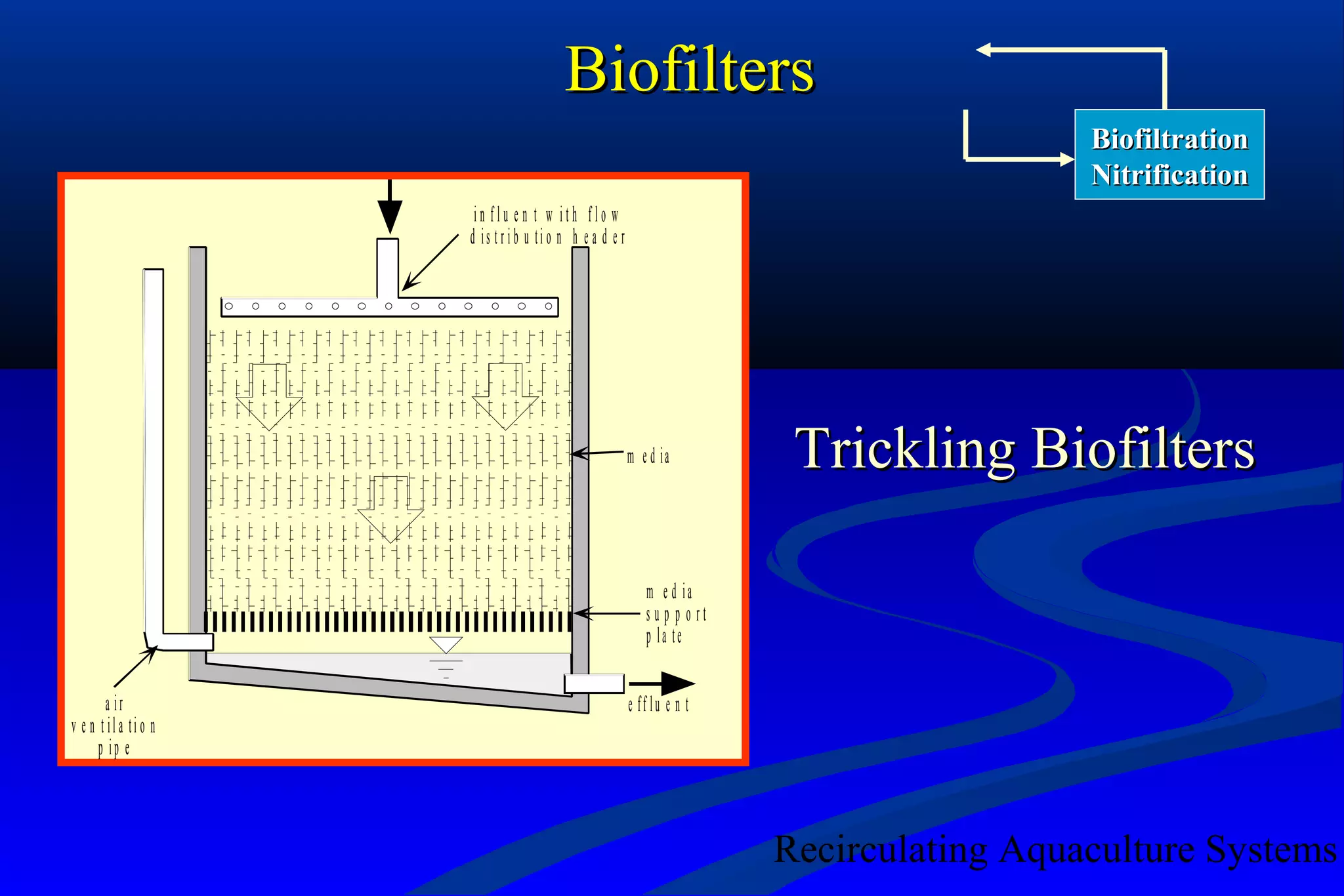 Biofiltration nitrification design overview | PPT