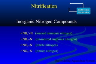 Biofiltration nitrification design overview | PPT