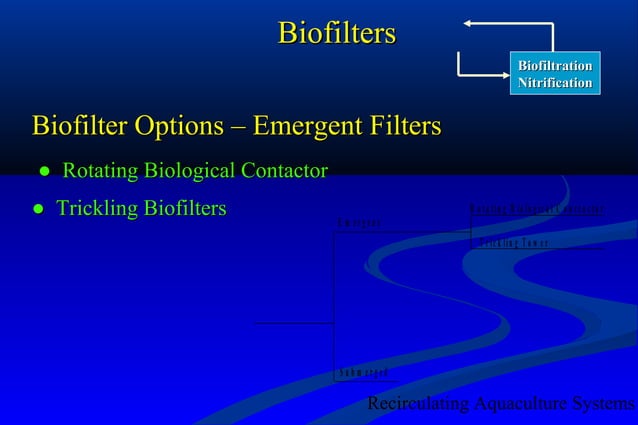 Biofiltration nitrification design overview | PPT