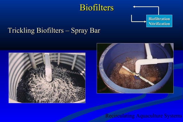 Biofiltration nitrification design overview | PPT