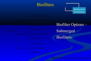 Biofiltration nitrification design overview | PPT