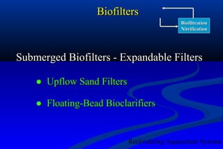 Biofiltration nitrification design overview | PPT