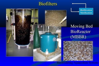 Biofiltration nitrification design overview | PPT