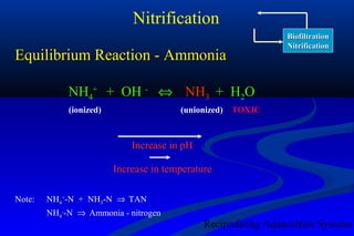 Nitrification Equation