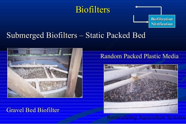 Biofiltration nitrification design overview