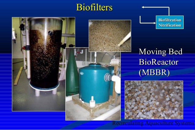Biofiltration nitrification design overview