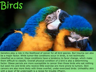 Cancer in Various Animals | PPTX