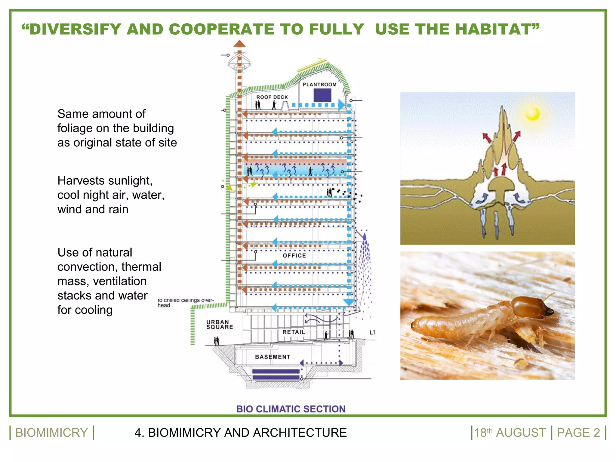 Biomimicry | PPT