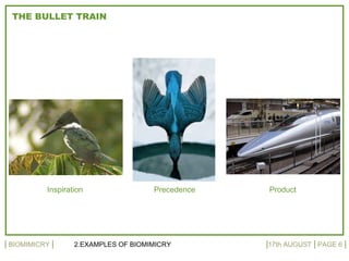Biomimicry | PPT