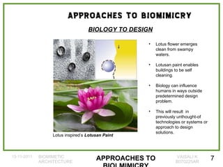 Biomimicry | PPT