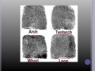 DNA fingerprinting | PPTX