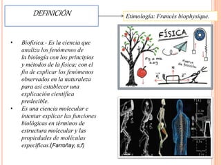 Biofisica.1 | PPTX