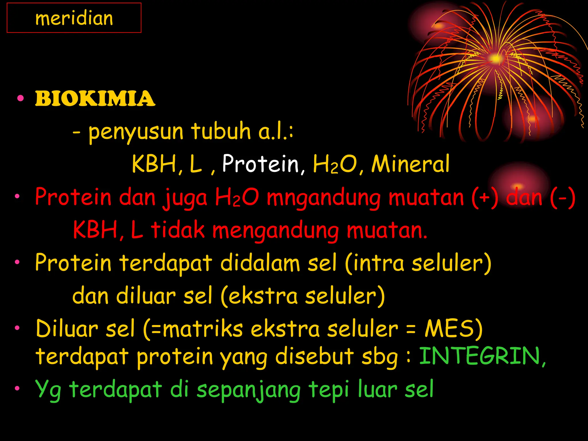 Biofisika Meridian Titik Akupuntur_Channel | PPT