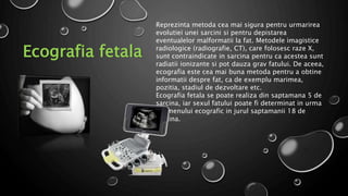 biofizica-ecografia.pptx