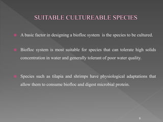 biofloc.pptx