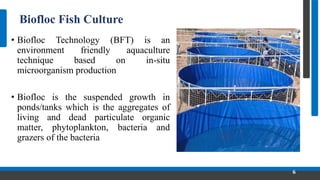 Biofloc | PPT
