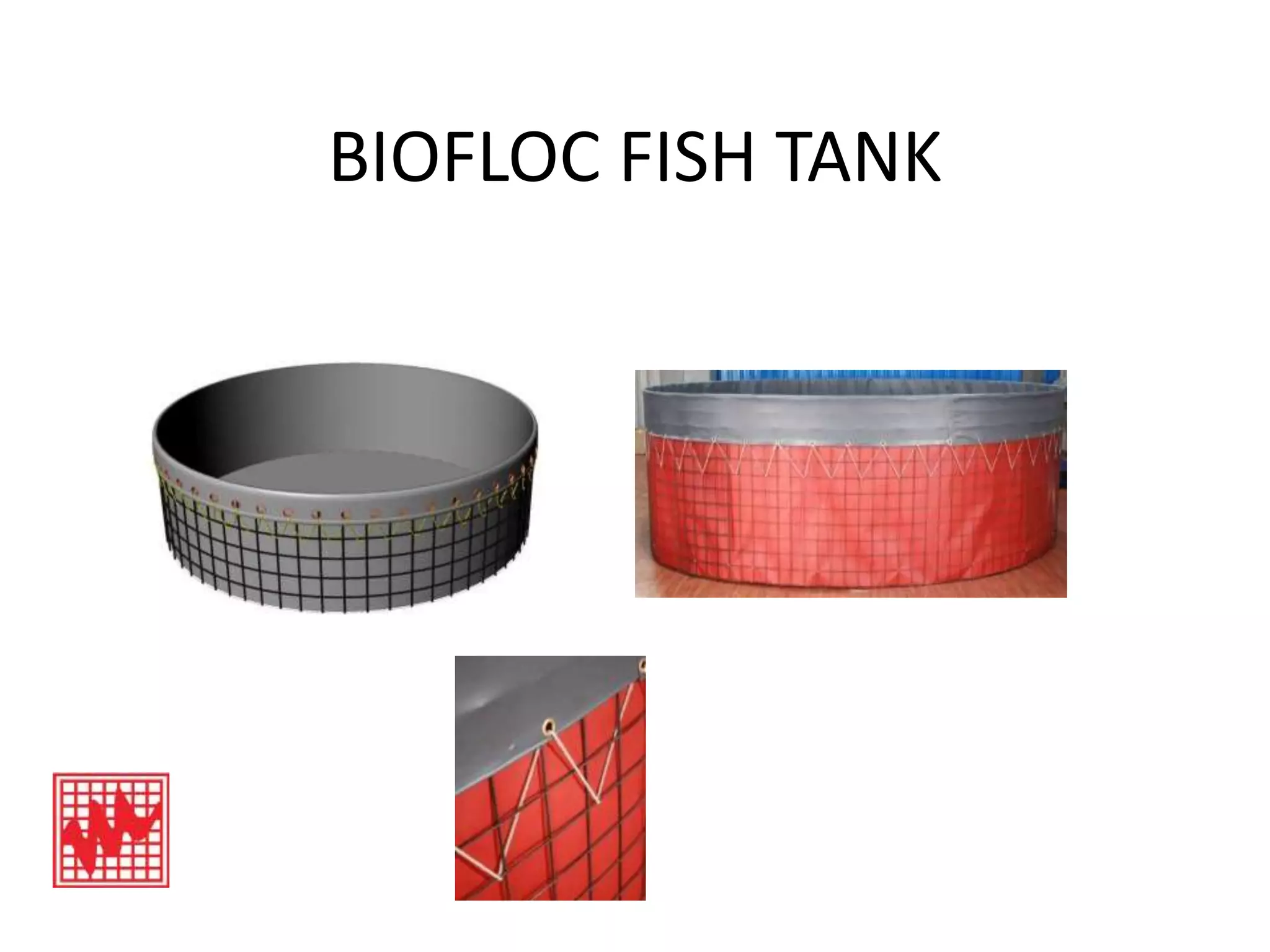 Biofloc fish tank ppt | PPT
