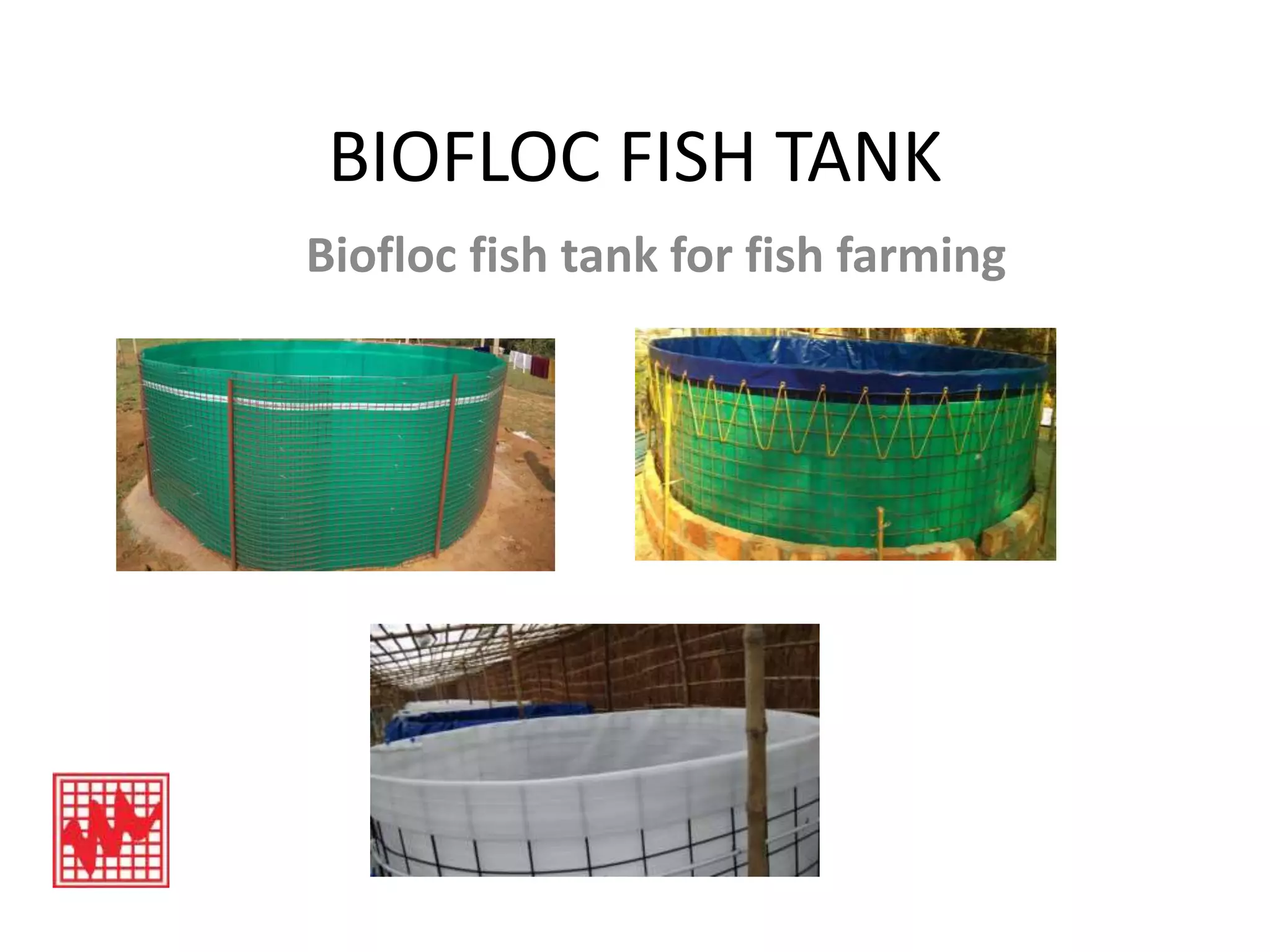 Biofloc fish tank ppt | PPTX | Fish and Aquariums | Pets