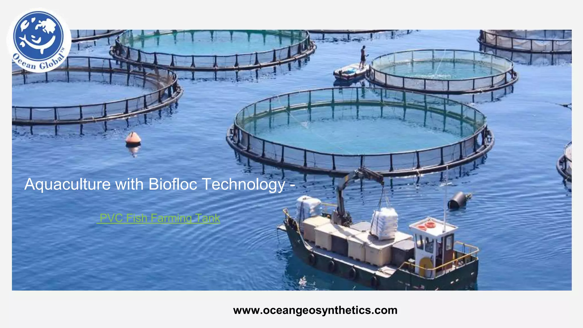 Biofloc Fish Tank System - PVC Fish Farming Tank. | PPT