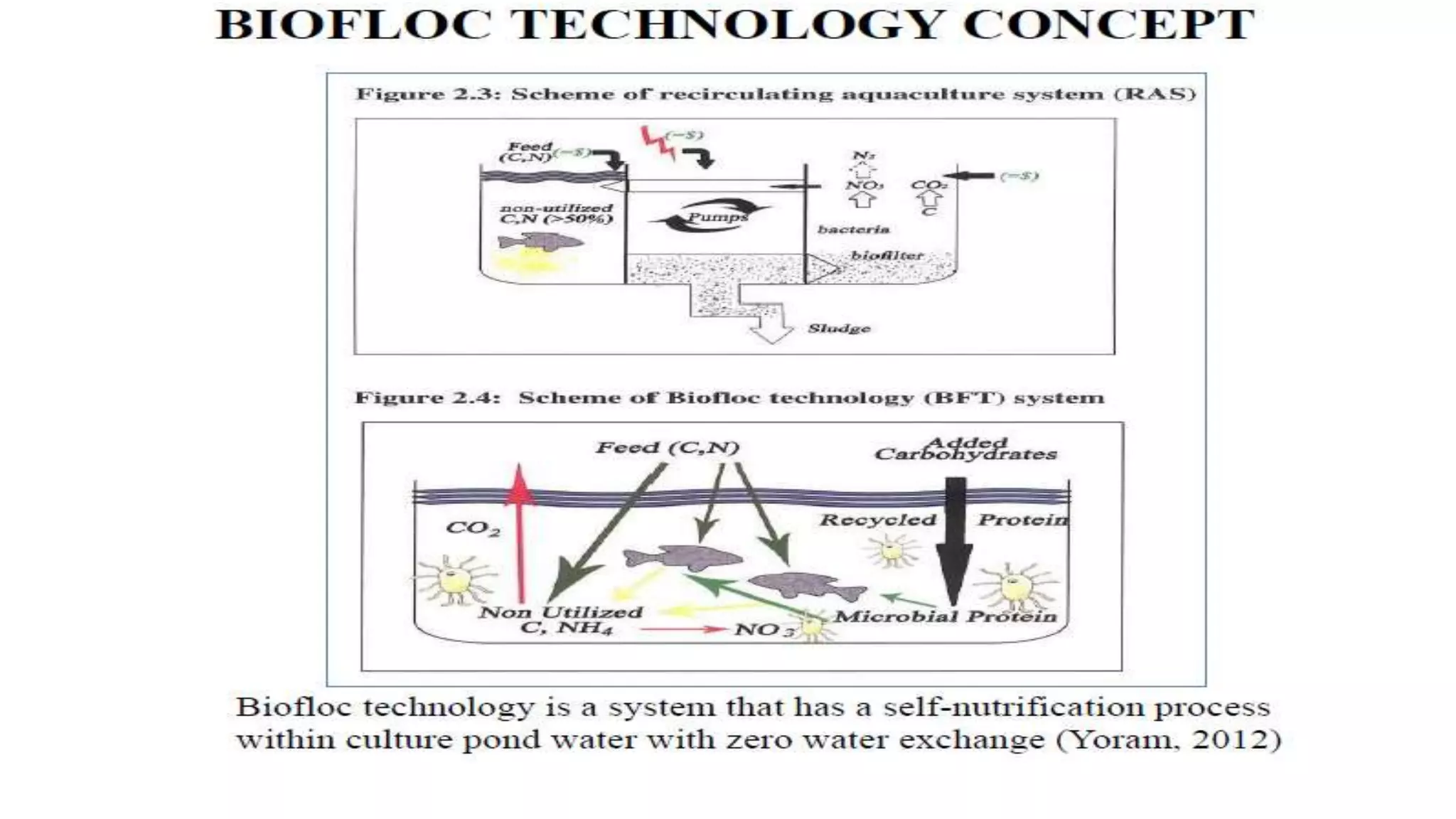 Biofloc technology | PPTX