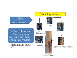 Biofloc Technology.pptx pangasius and tilapia fish culture | PPTX