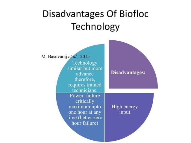 Biofloc Technology.pptx pangasius and tilapia fish culture | PPTX