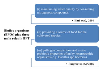 Biofloc Technology.pptx pangasius and tilapia fish culture | PPTX