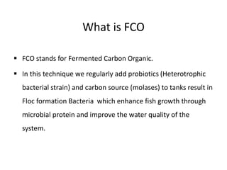 Biofloc Technology.pptx pangasius and tilapia fish culture | PPTX