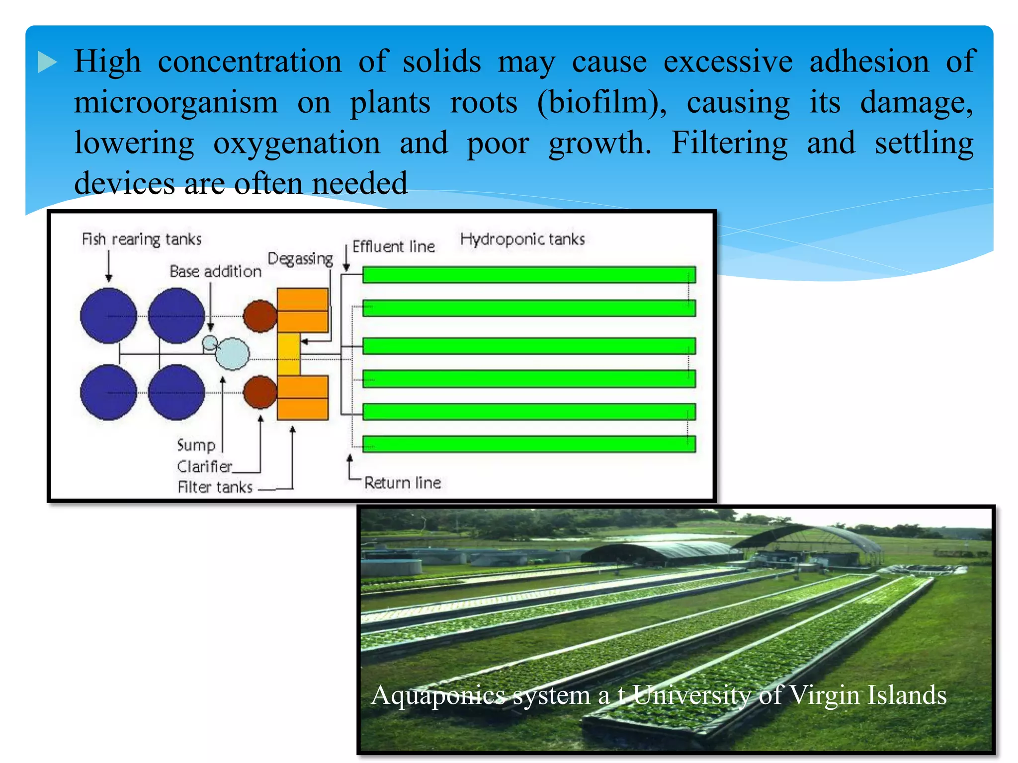 Biofloc Technology in aquaculture | PDF