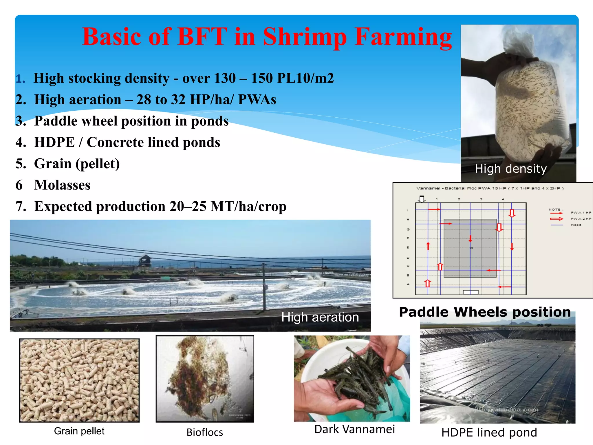 Biofloc Technology in aquaculture | PDF
