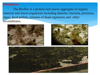 Biofloc Technology in aquaculture | PDF