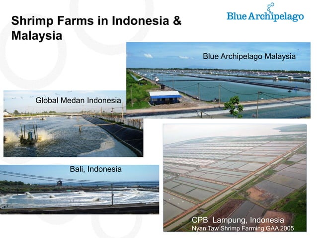 Biofloc Technology in aquaculture | PDF