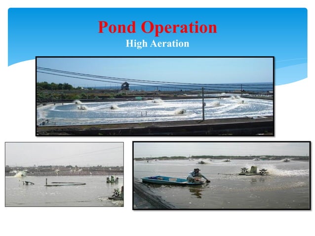 Biofloc Technology in aquaculture | PDF