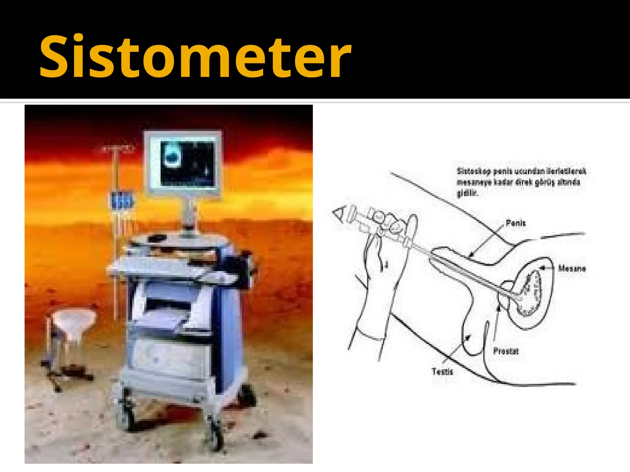 BIO-FLUIDA. membahas fluida air dan cairan tubuh. | PPTX