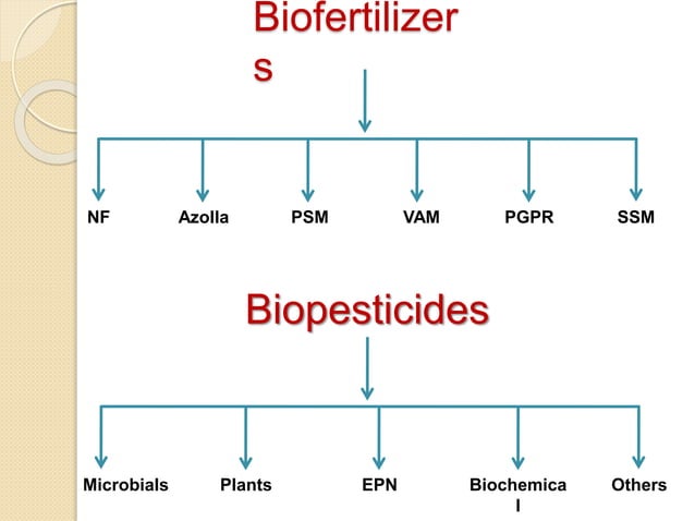 Prospects of Bio-formulations in India with special emphasis on N.E ...