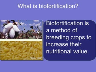 Biofortification analysis | PPT