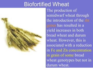 Biofortification analysis | PPT